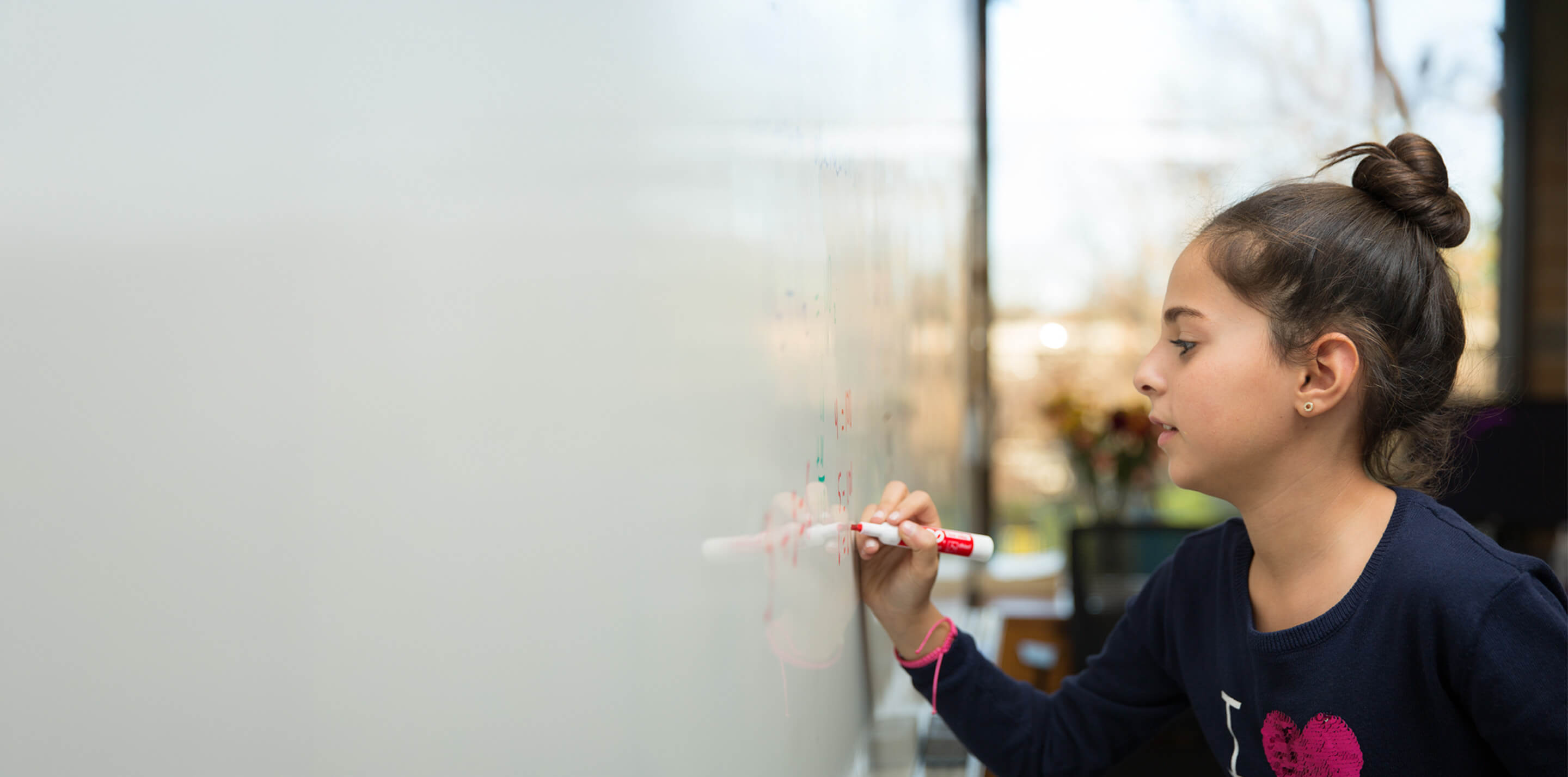 Math Classes at the Russian School of Mathematics | DC Area