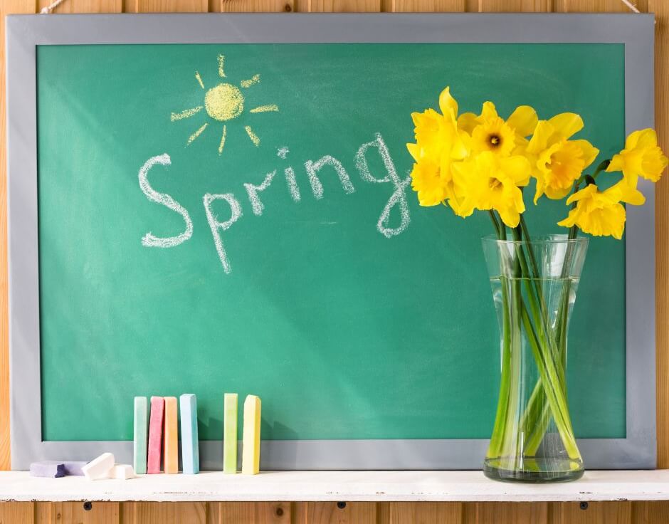 Spring Classes at the Russian School of Mathematics | Illinois